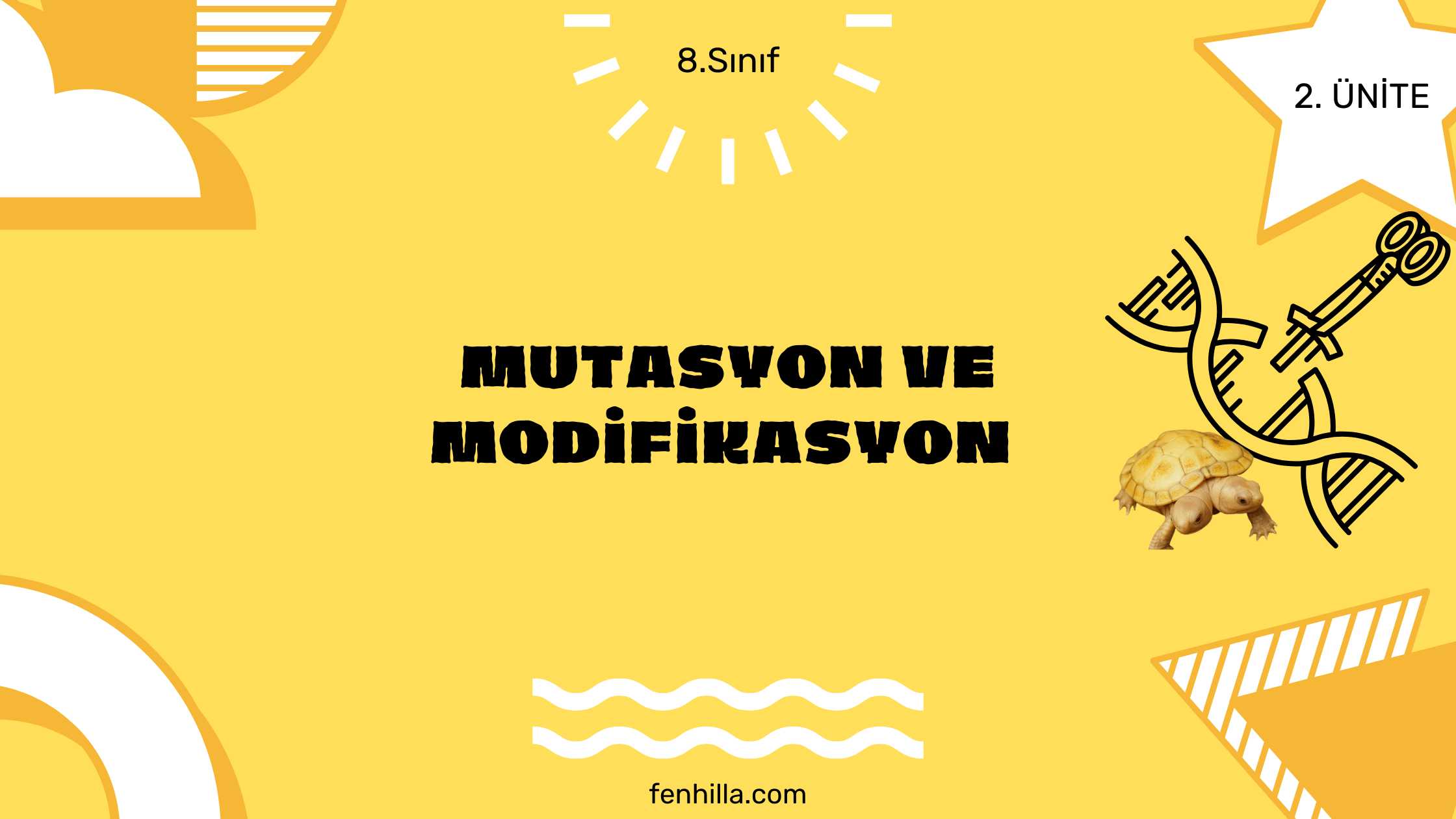8.Sınıf Mutasyon ve Modifikasyon Konu Anlatımı - Fenhilla.com